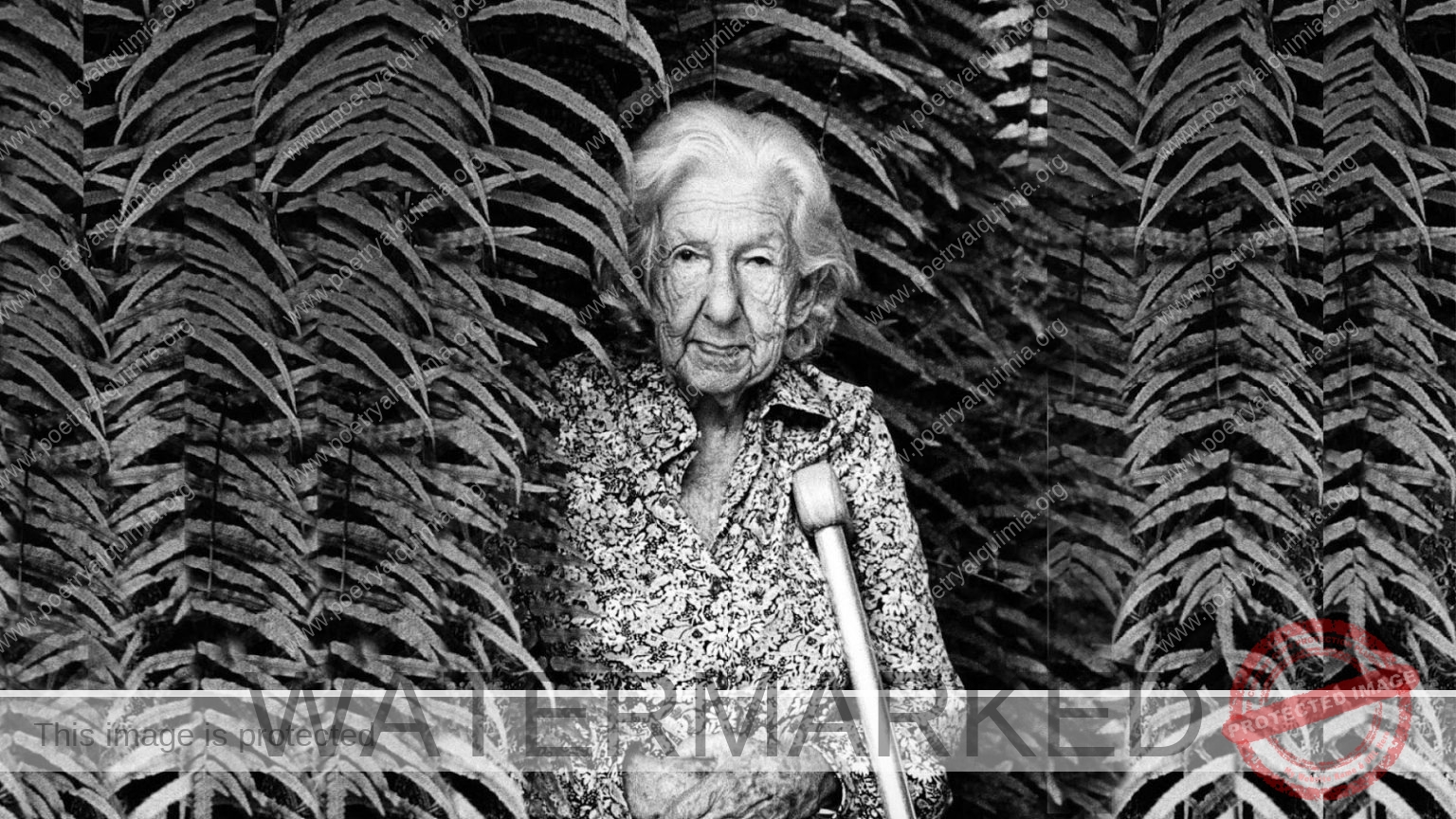 11 Poemas De Cora Coralina | Poiesis/ποίησις